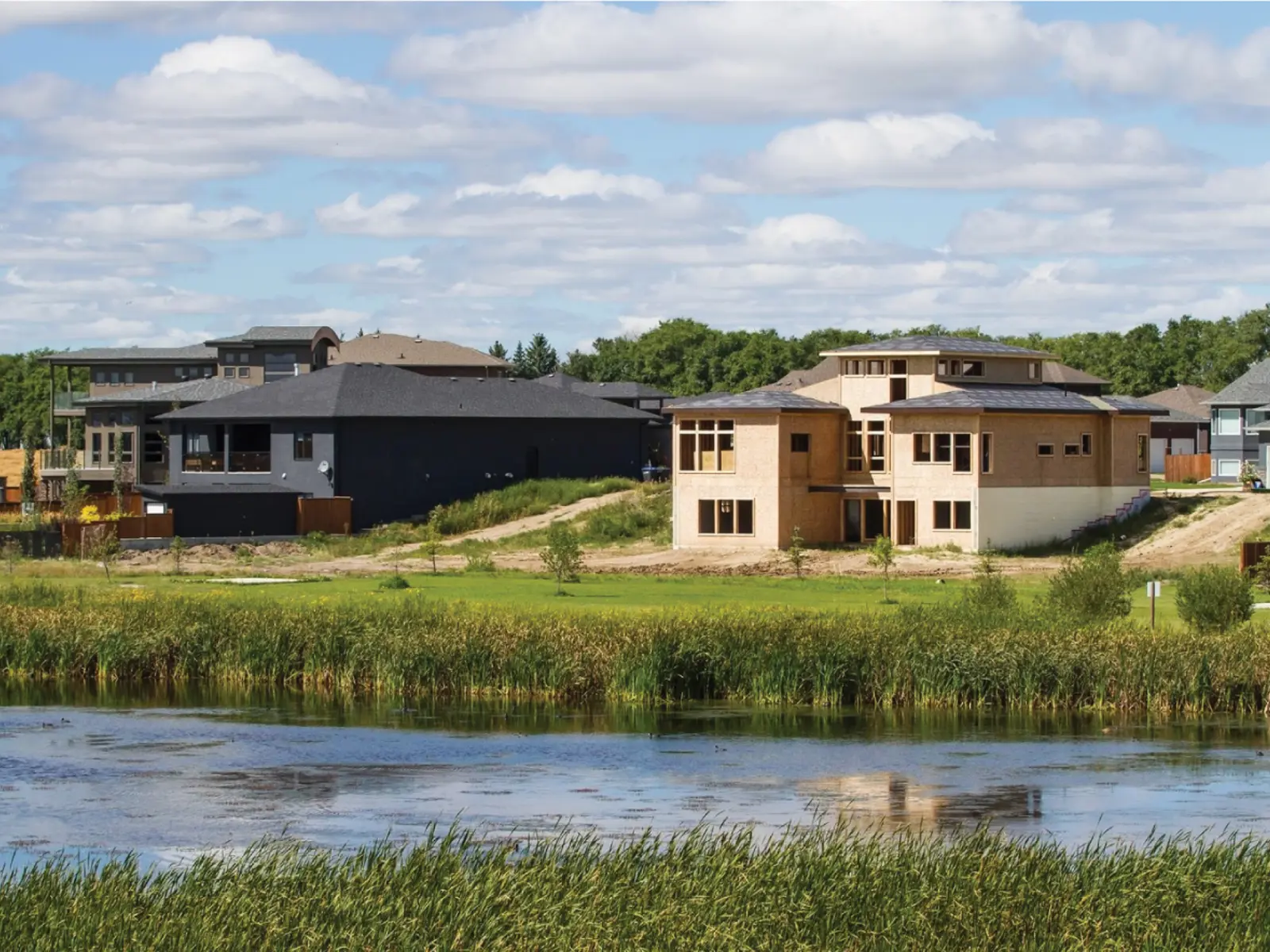 Home | City of Brandon