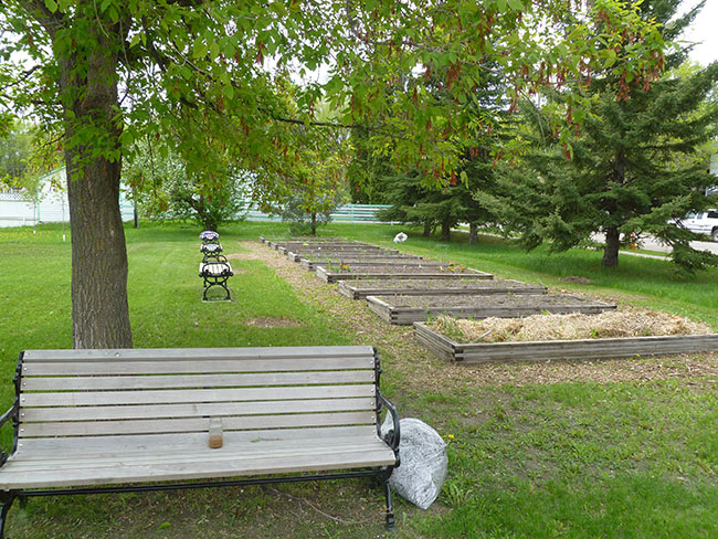 Park | City of Brandon