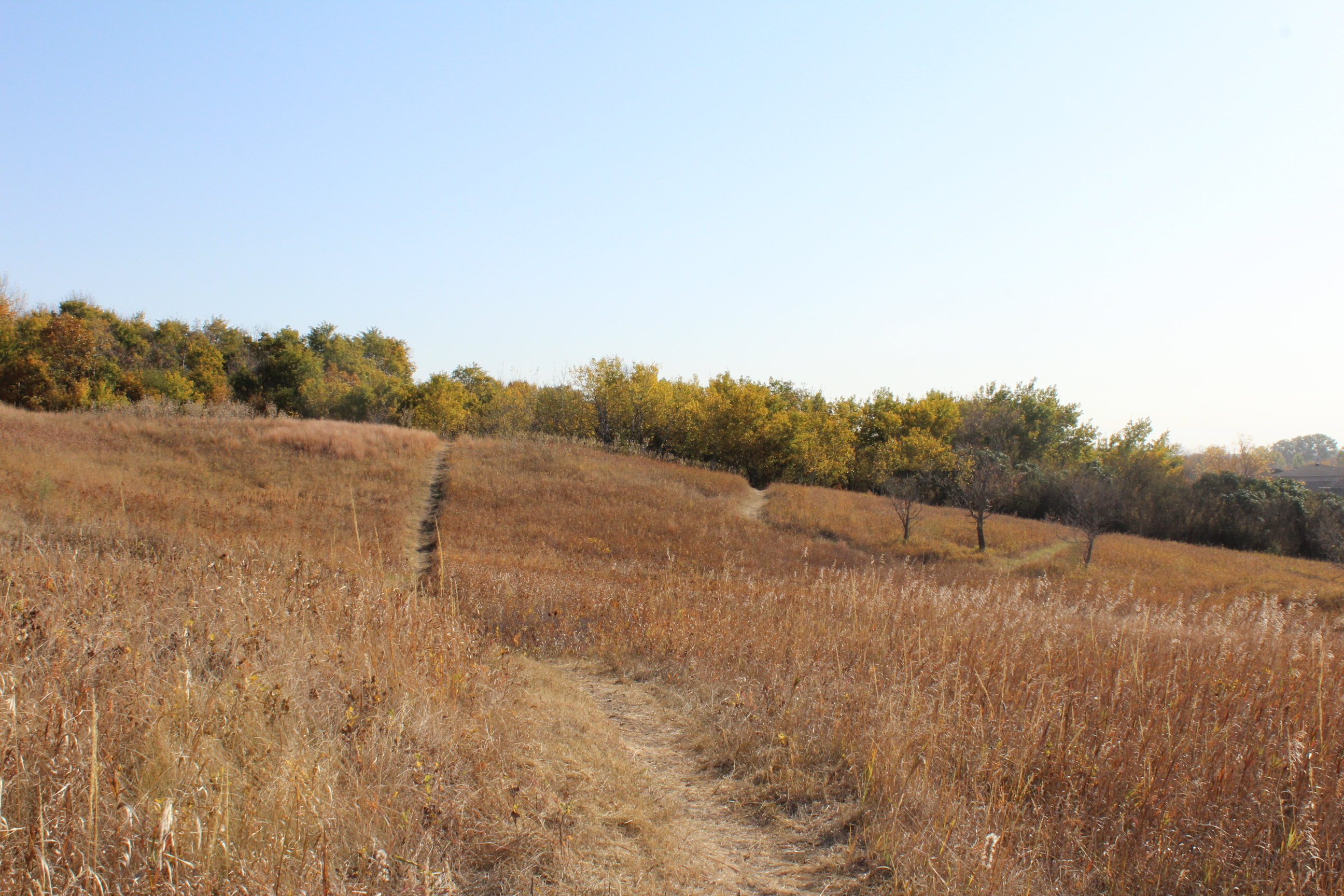 Hanbury Hill | City of Brandon