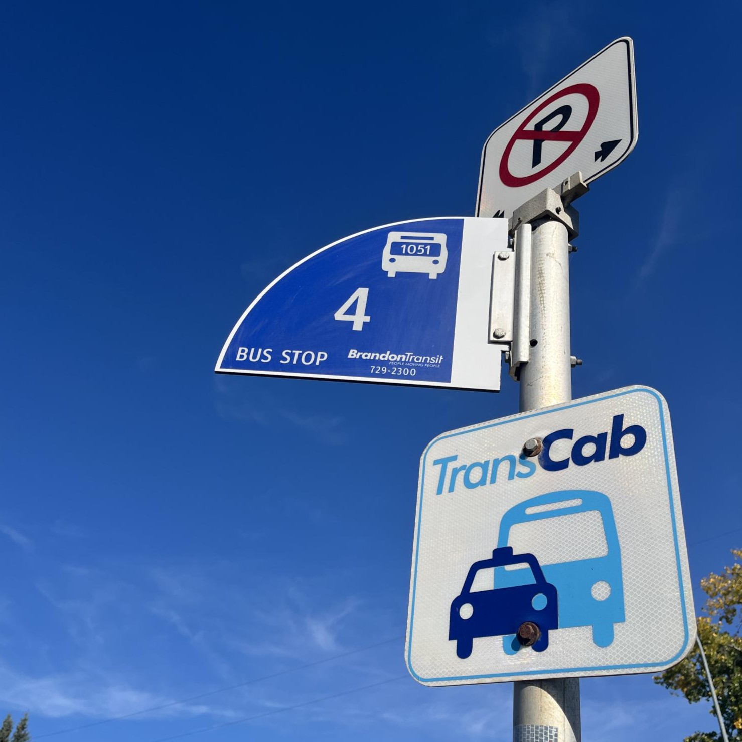 Brandon Transit TransCab Service | City of Brandon