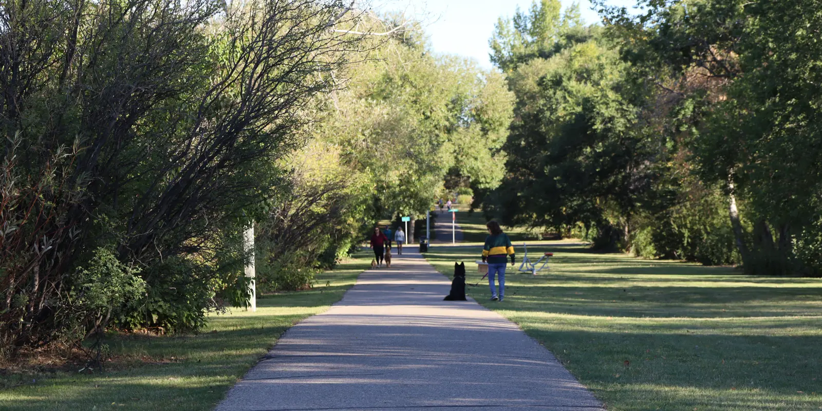 City Hall | City of Brandon