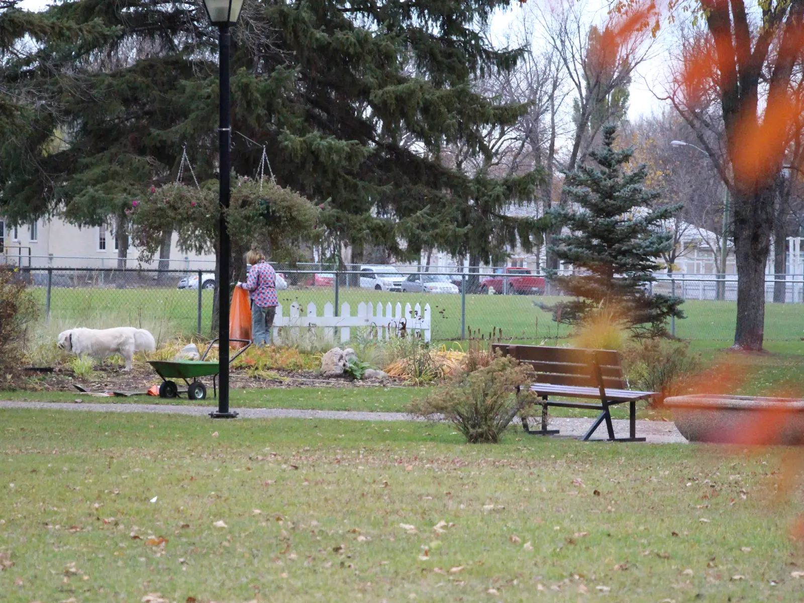 Parks & Recreation | City of Brandon