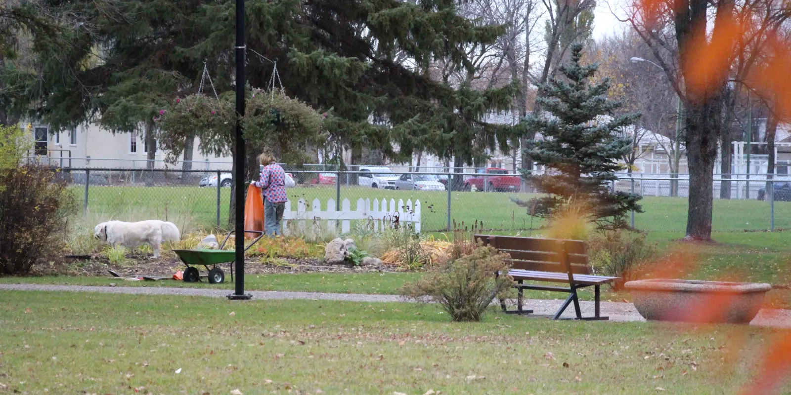 Parks & Recreation | City of Brandon